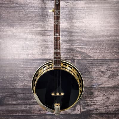 Samick Artist Series 5 String Banjo (Raleigh, NC) | Reverb
