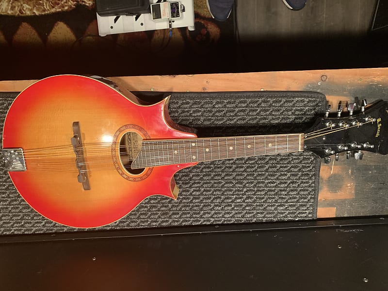 Suzuki Mandolin | Reverb