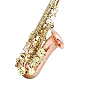 Ravel RAS302RB Paris Series Pro Alto Sax | Reverb Canada