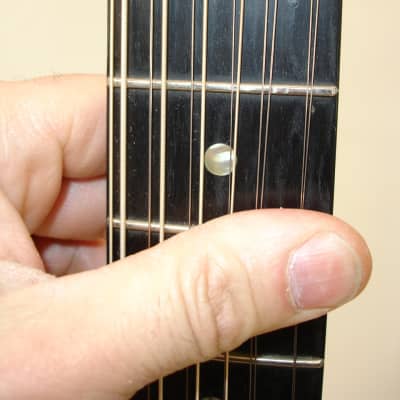 Vintage 1977 Charles Hoffman 12-String Acoustic Guitar w/ | Reverb