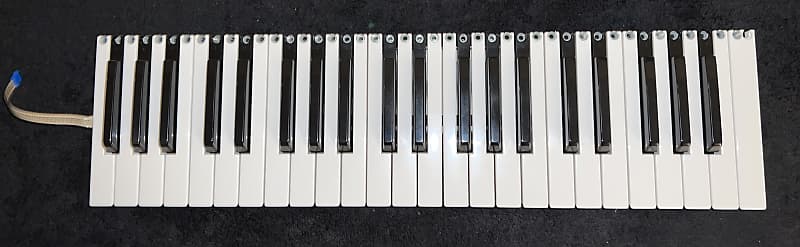 Fatar TP/9S 44 Note Replacement Keybed For Moog Voyager | Reverb