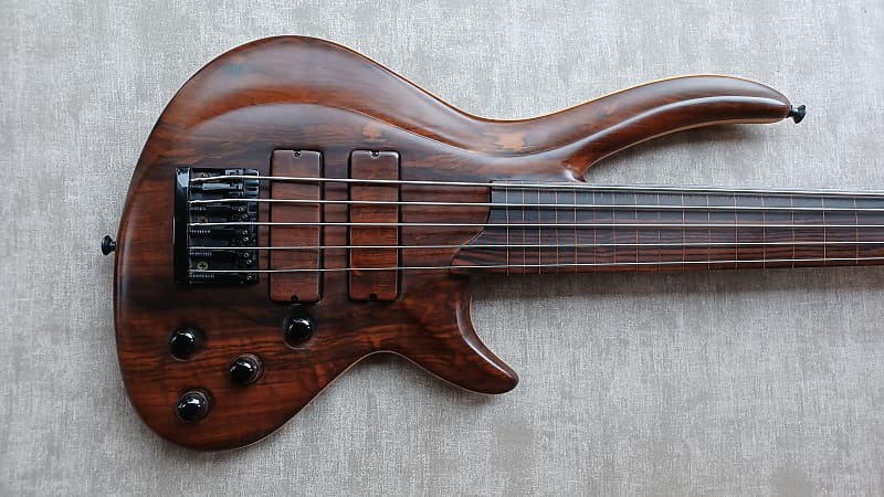 Vadim Custom 5-String Fretless Bass | Reverb