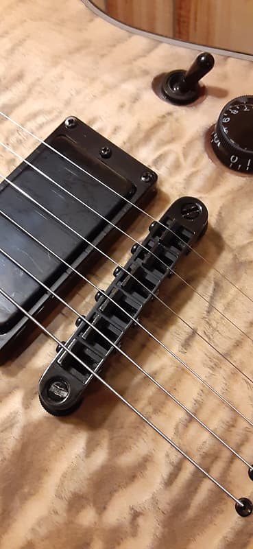 Schecter C-1 Snow Leopard 6 String Electric Guitar | Reverb