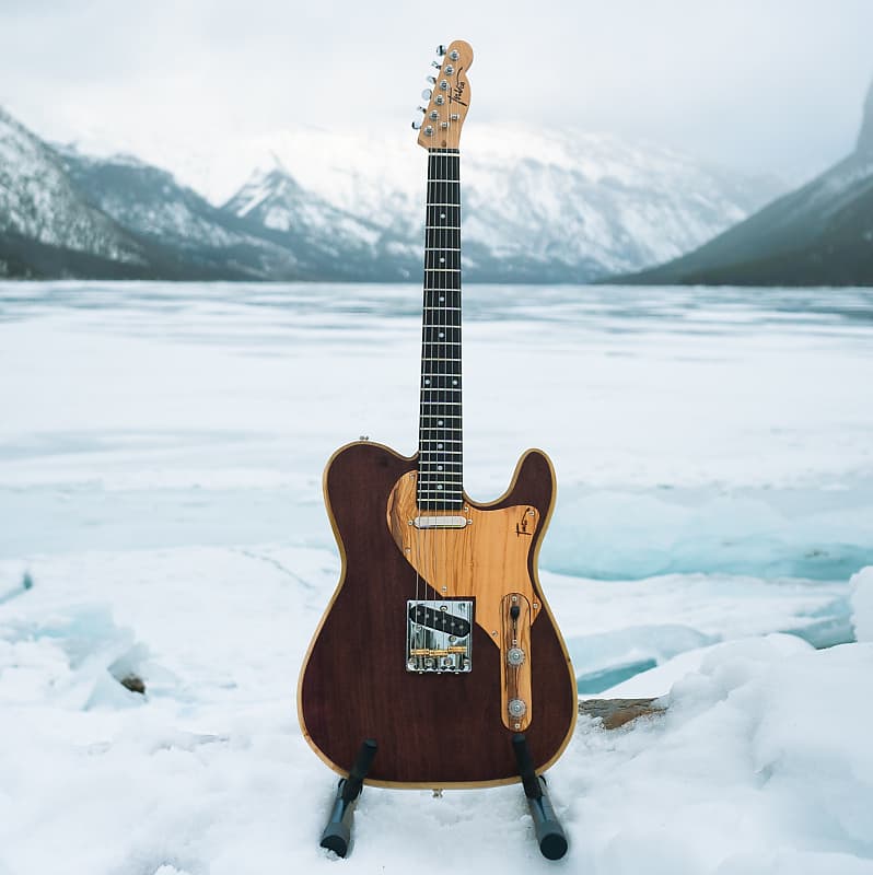 The New Vintage TNV Tele Style Barncaster | Reverb
