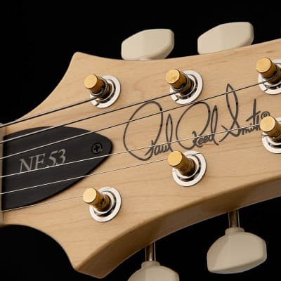 PRS NF 53 Black Doghair | Reverb