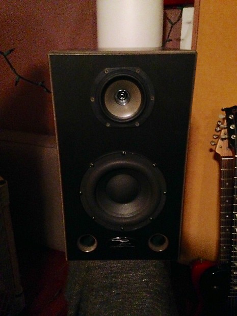Chris Pelonis 4288 mkII Monitors Studio Speakers | Reverb