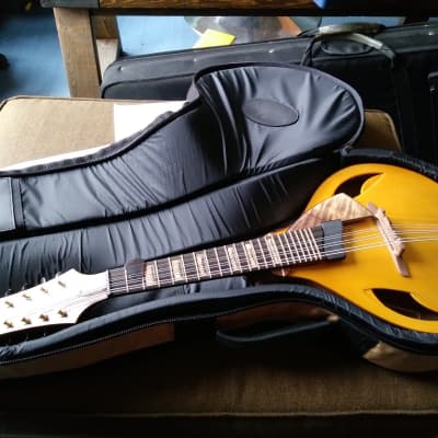 Wilkie 10-String Mandolin | Reverb