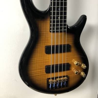 Kiesel Carvin Icon 5 2007 - 2 Tone Burst | Reverb