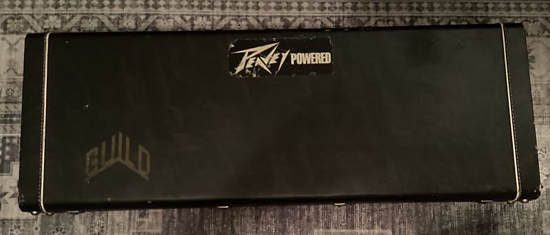 Vintage 1980s Guild Flyer S280 S281 Hardshell Guitar Case | Reverb