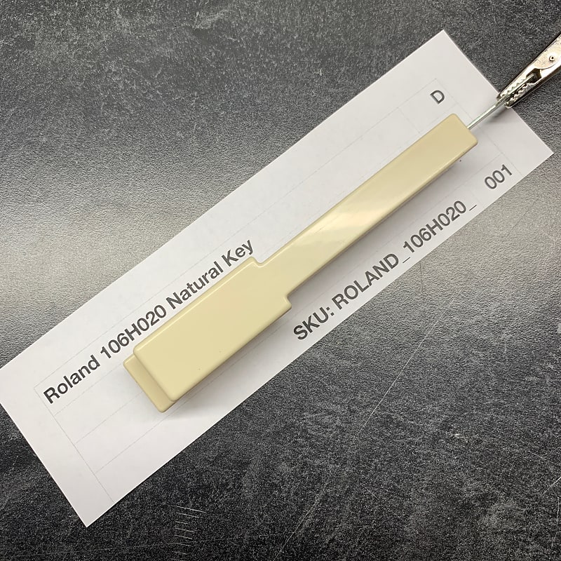 ORIGINAL Roland Replacement D Key (Matsushita SK-1xx Keybeds) | Reverb