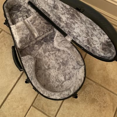 Hoffee Carbon Fiber Mandolin Case Special Custom Carbon 2023 | Reverb