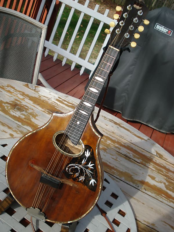 Vega Cylinderback Mandolin | Reverb