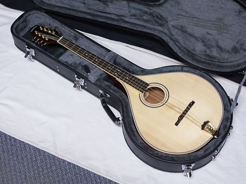 GOLD TONE OM-800+ 8-string electric Octave MANDOLIN new w/ | Reverb