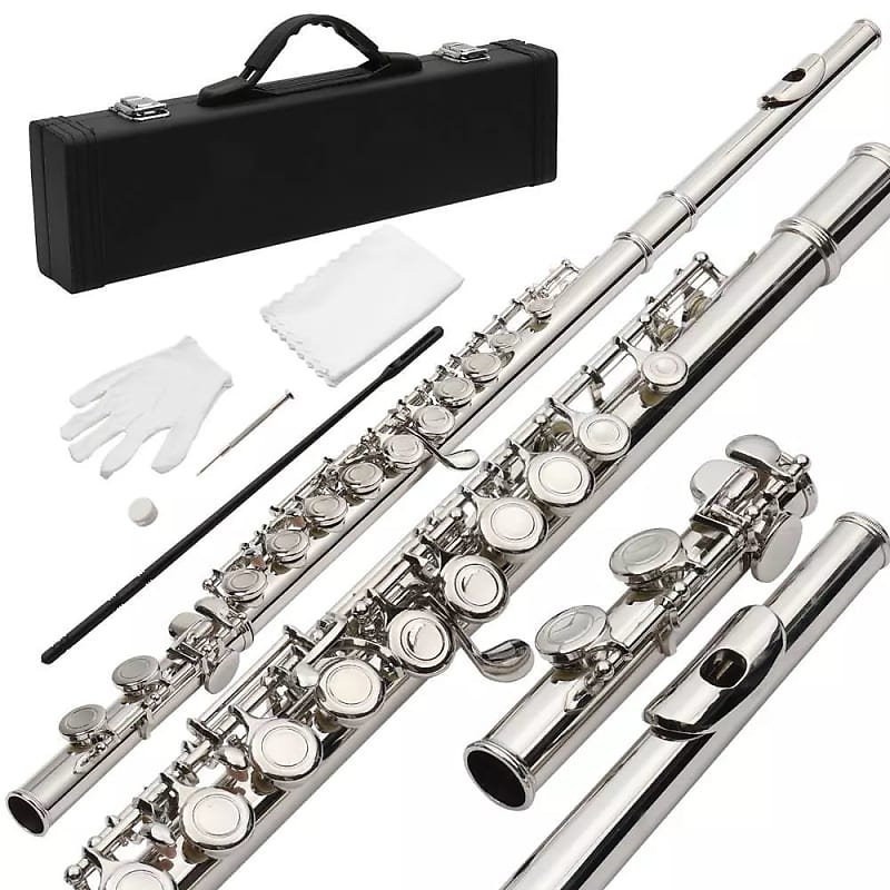 School Student Professional 16 Closed Hole C Tone Flute | Reverb