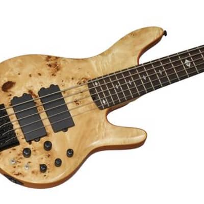 Michael Kelly Guitar Co. Pinnacle 5-String Bass Electric Bass | Reverb