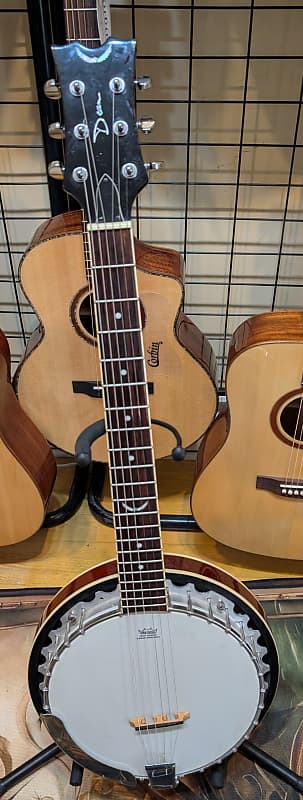 Dean BW-6 Backwoods 6-String Guitar Banjo Hybrid Banjitar | Reverb