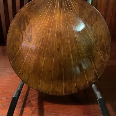 Douglas & Co. Museum Quality Zither 7-String Banjo Circa 1910 | Reverb