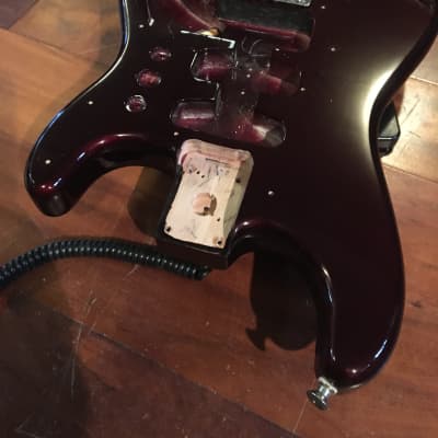 Fender Midnight Wine Burgundy Standard Strat ocaster Alder | Reverb