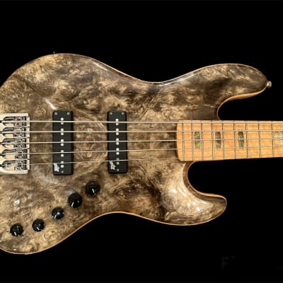 USA Spector DLX Coda 5 String Bass Guitar | Reverb