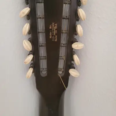 Harmony 12 String | Reverb