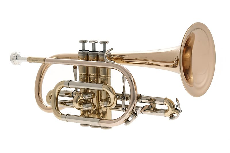 JP271SW Cornet Bb, lacquered, John Packer | Reverb