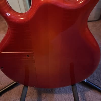 Pedulla Pentabuzz 5 String Fretless Bass | Reverb