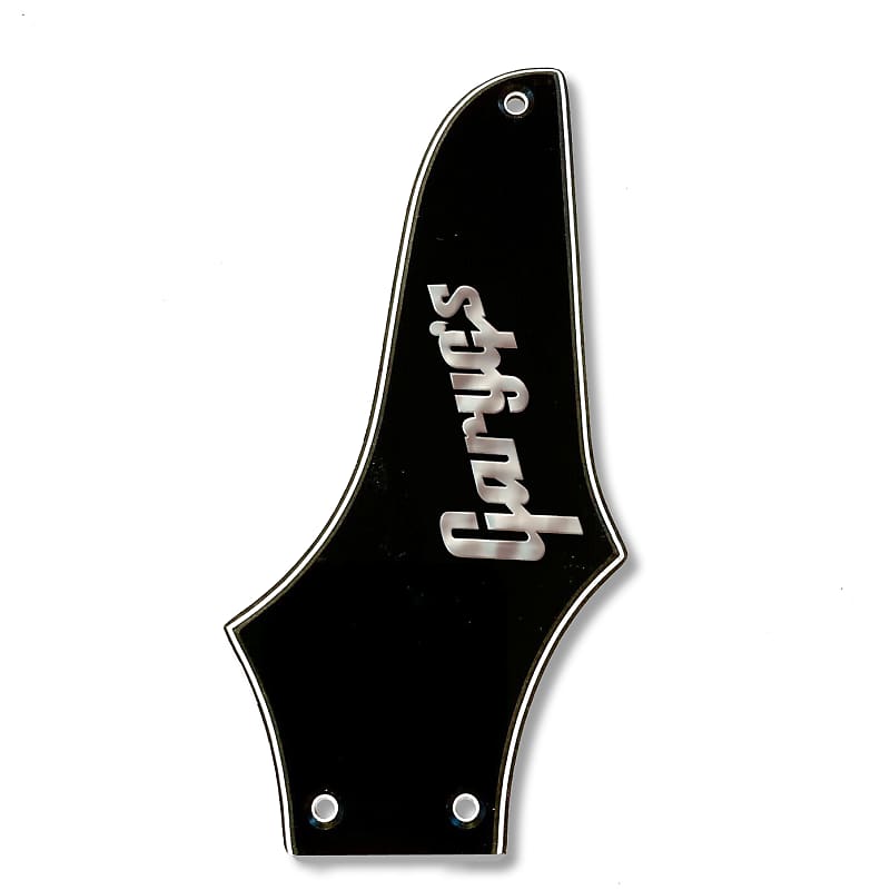 3 Ply Black Truss Rod Cover for Epiphone Thunderbird w Chrome | Reverb