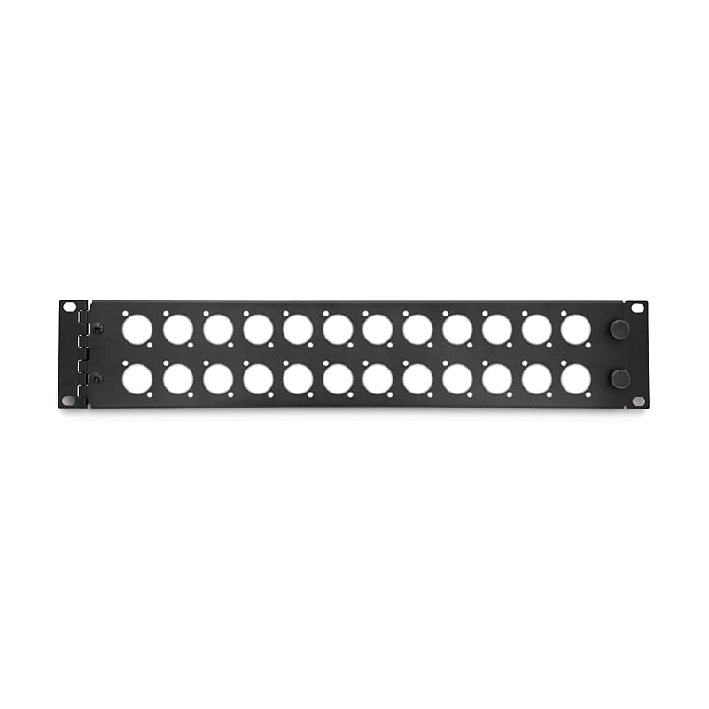 2 Space Hinged Rack Panel w/ 24 D Connector Punchout Holes | Reverb