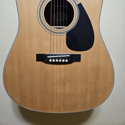 used Segovia D71N Acoustic Guitar | Reverb