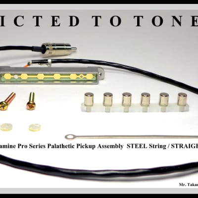 Takamine Pro Series Palathetic Pickup Assembly / STEEL String | Reverb