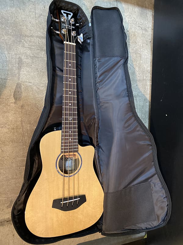Traveler Guitar Redlands Mini Bass Compact Acoustic Bass w/ | Reverb