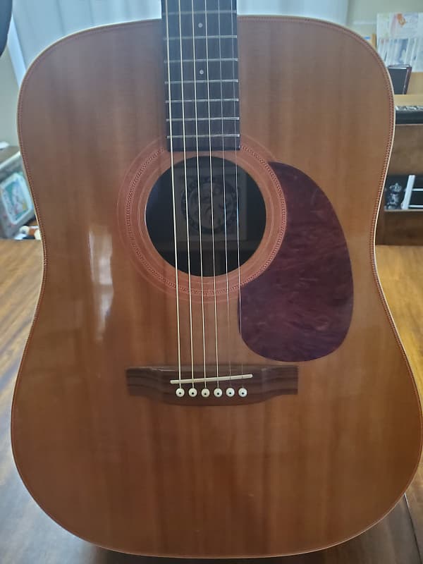 Alvarez 5022 Profesional Series Mid 90's - Gloss | Reverb