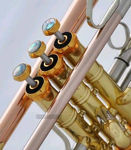 luxury Abalone Shell Trumpet Cap Set 3 PCs | Reverb