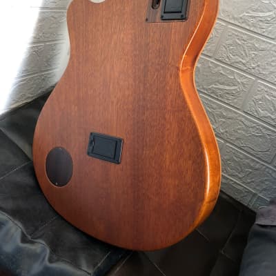 guitar model gibson chet atkins system Paul McGill | Reverb