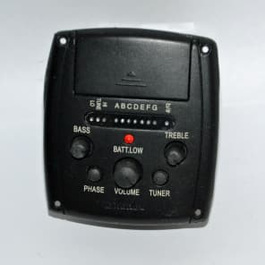 Epiphone Shadow Performer Tuner Preamp & NanoFlex Pickup | Reverb