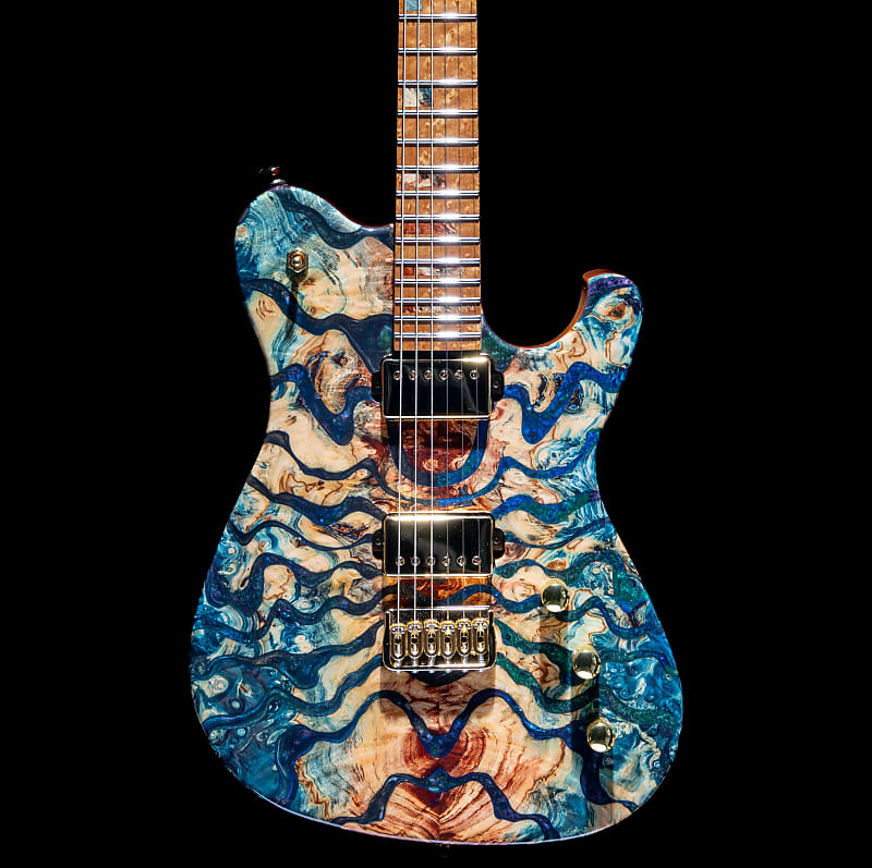 Warmoth Burl Fusion Series Meadowhawk - hamburg | custom | Reverb