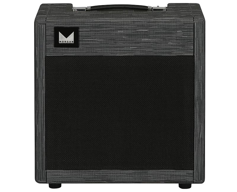 Morgan Amplification DUAL20 20-Watt 2-Ch 1x12" Tube Combo Amp | Reverb