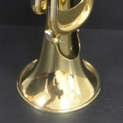 Courtois Evolution III - Lacado | Reverb