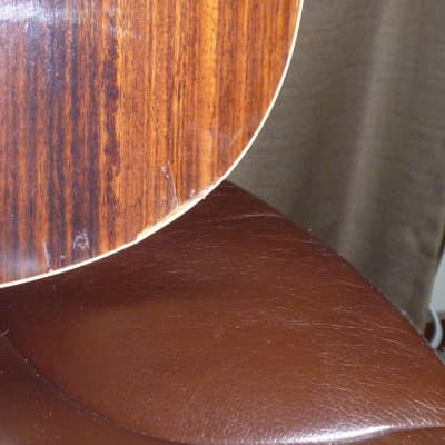 Aspen D29 '70s 12 String Guitar | Reverb