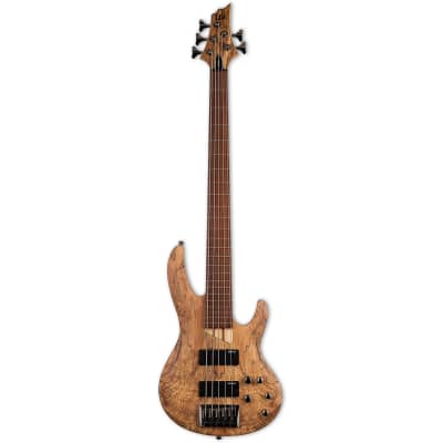 Zopilote Handmade 5 string fretless bass 2005 - | Reverb
