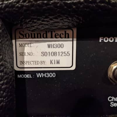 Randall Warhead Dimebag Darrell Signature 2-Channel 300-Watt | Reverb