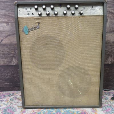 Earth Sound Research Super Guitar Tube Amplifier G-2000 1970s | Reverb