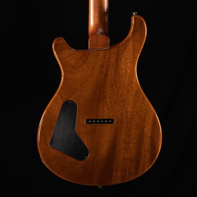 PRS Private Stock Holcomb - Jade Dragons Breath | Reverb