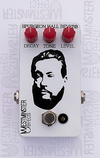 Westminster Effects Spurgeon Hall Reverb | Reverb