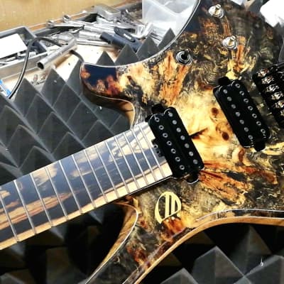 Overload Custom Guitars Themis 2022 | Reverb