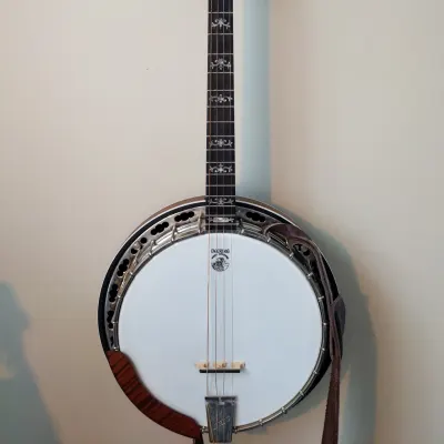 Tenor Banjo Tenor Vox Banjo 2013 | Reverb
