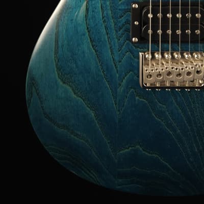 PRS SE Swamp Ash Special Electric Guitar - Iris Blue - NEW ! | Reverb