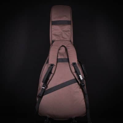 PRS SE Swamp Ash Special- Iris Blue (CTIG021671) | Reverb