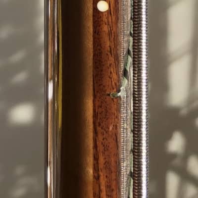 Tobias Basic 6 string bass - neck through | Reverb