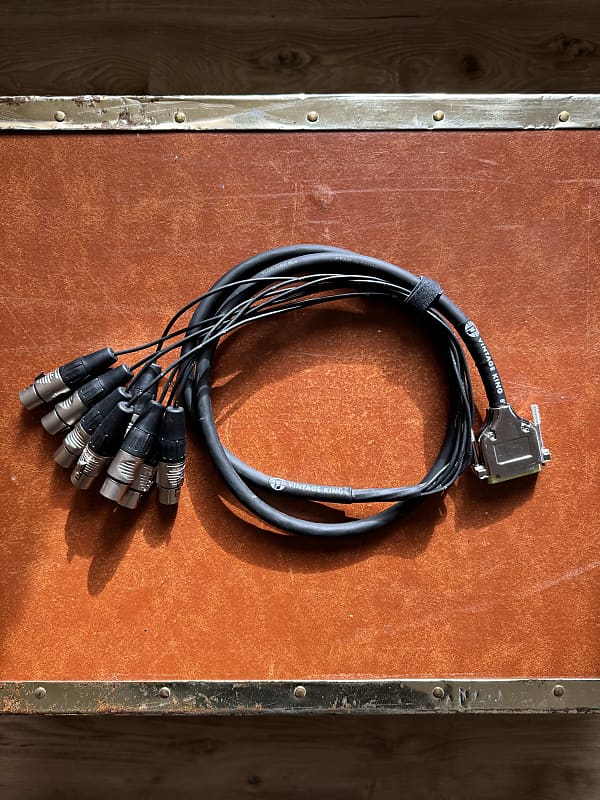 Vintage King Vintage King Basic Series DB25 - XLRF - 5' | Reverb